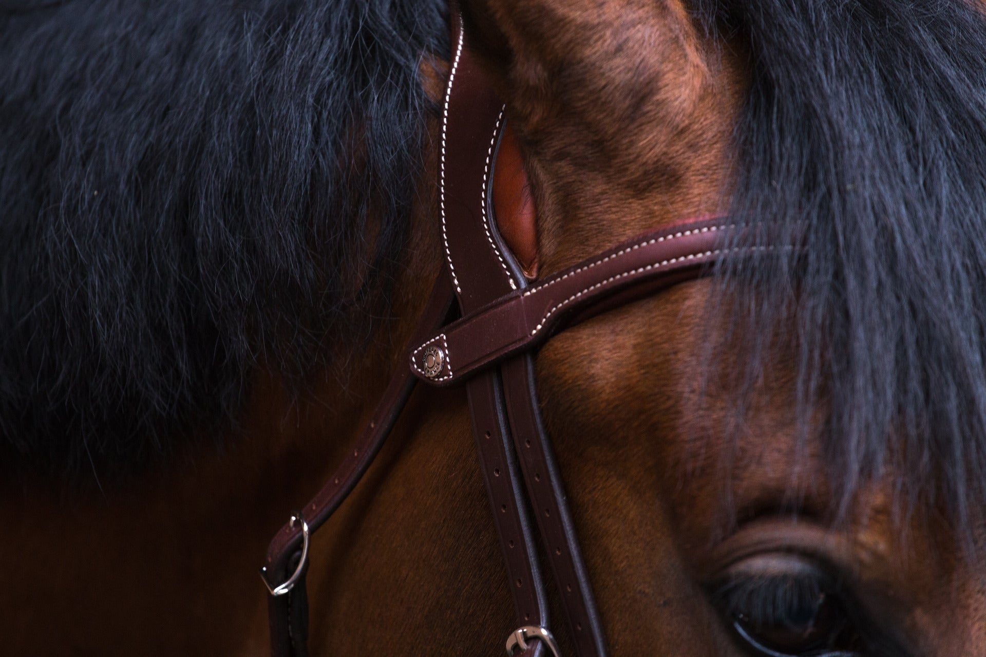 PM Equestrian